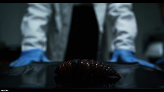 Intense Lesbian Action Between 2 Parasite Possessed Hotties Parasiteporn