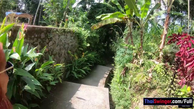 Thai Girlfriend Waterfall Visit And Sex Teach Me How To Have Sex Porn Ojallofato 